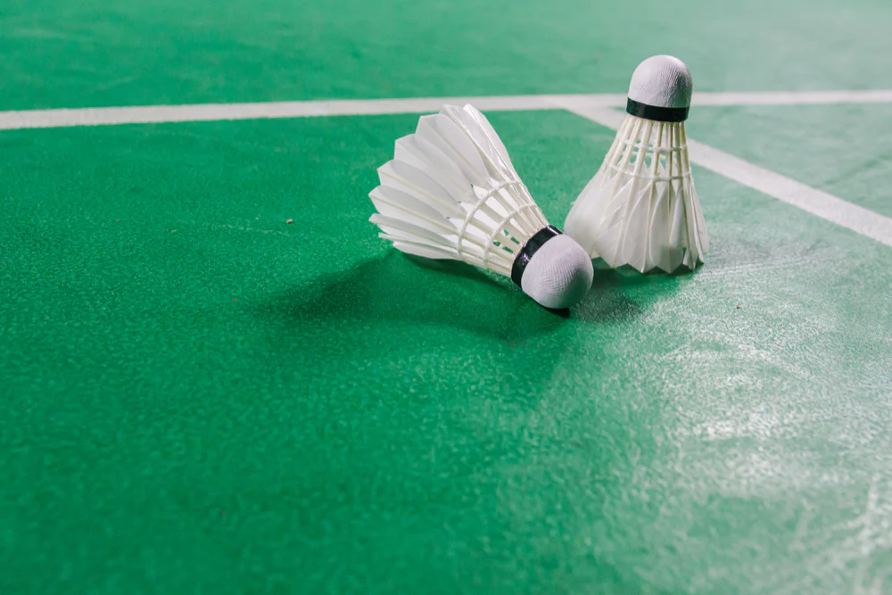 Essential Equipment Every Badminton Player Needs - The Mews Beauty